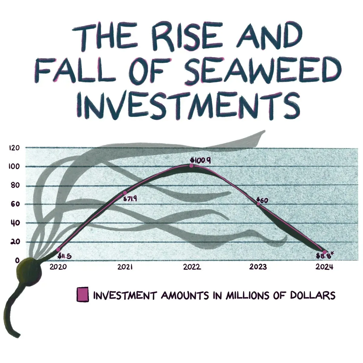 The Future Of Seaweed Farming In America Pulitzer Center